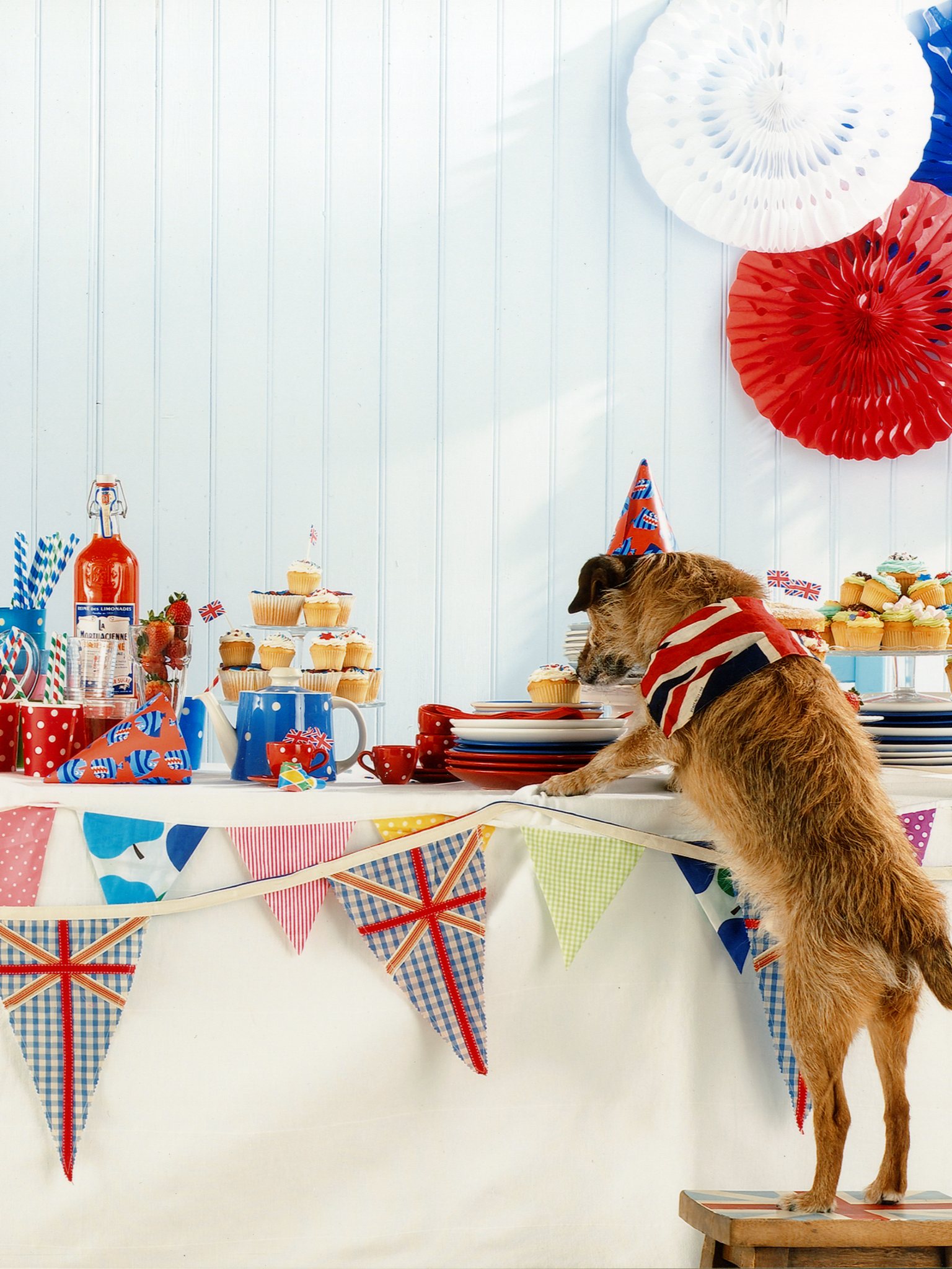 Sam Duffy | Stylist - Still Life & Prop Styling | Carol Hayes Management