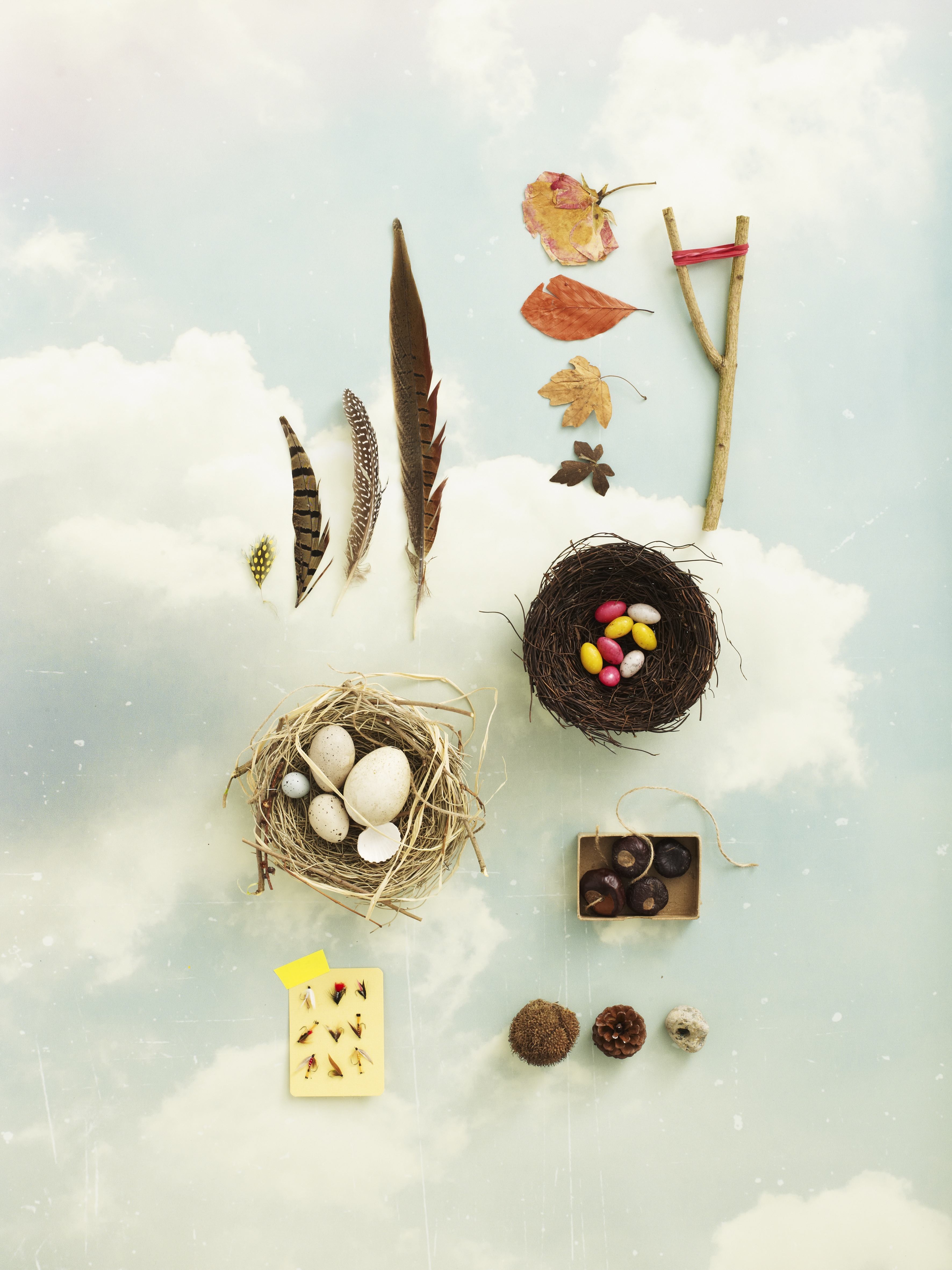 Sam Duffy | Stylist - Still Life & Prop Styling | Carol Hayes Management